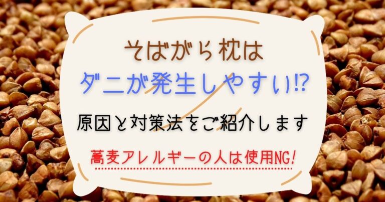 そばがら枕はダニが発生しやすい⁉︎原因と対策法をご紹介します | ダニSOS