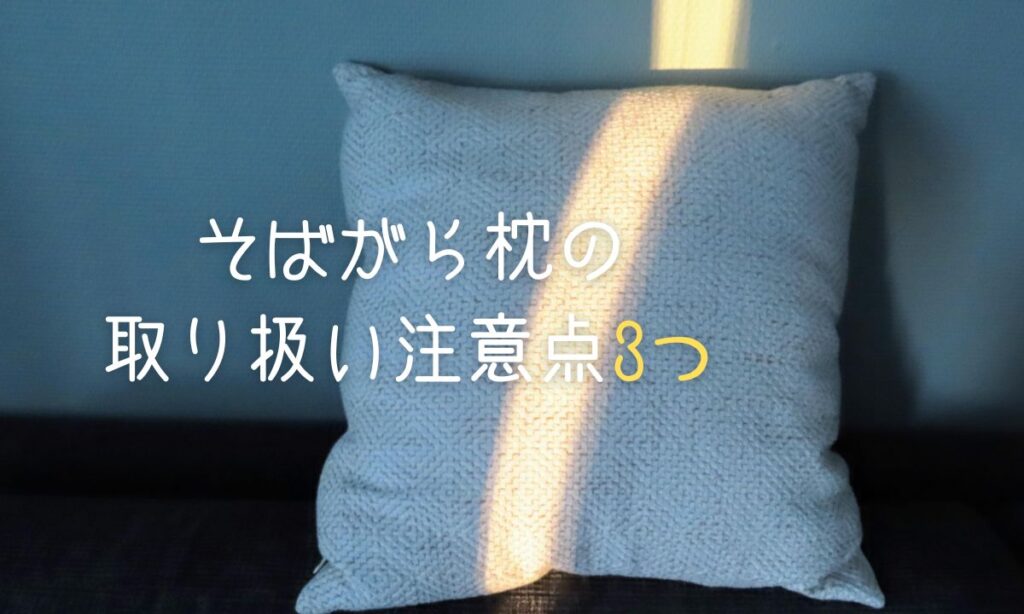 そばがら枕はダニが発生しやすい⁉︎原因と対策法をご紹介します | ダニSOS