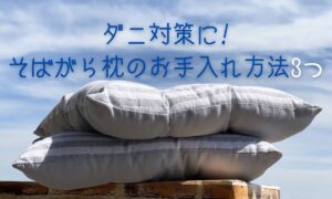 そばがら枕はダニが発生しやすい⁉︎原因と対策法をご紹介します | ダニSOS
