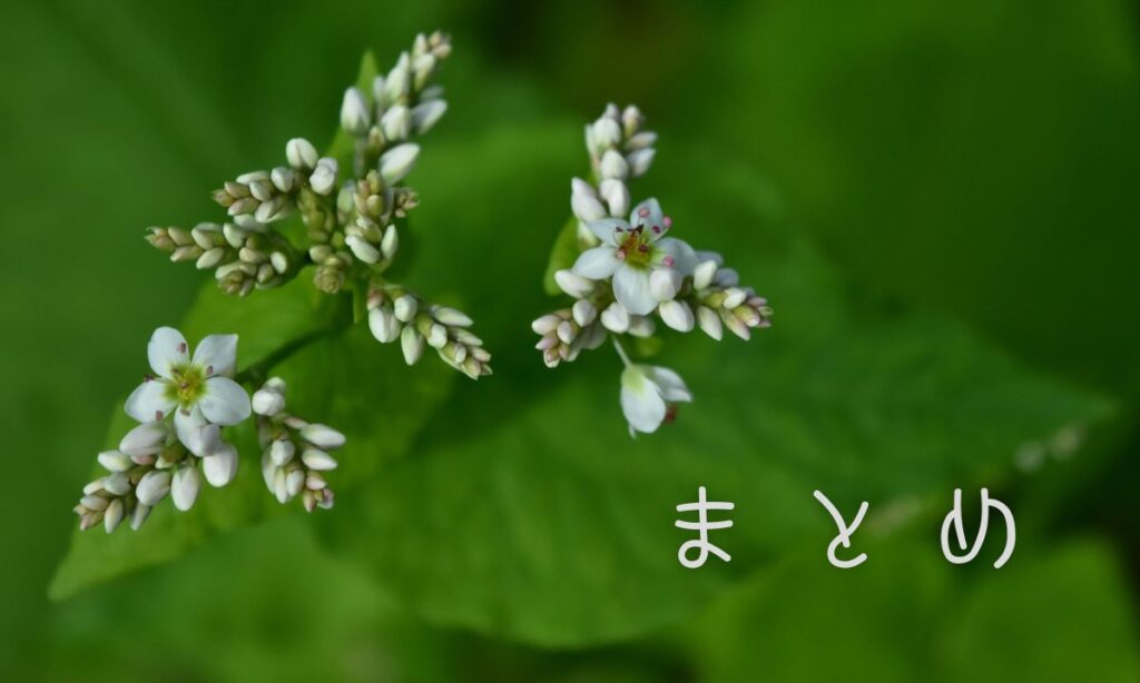 そばがら枕はダニが発生しやすい⁉︎原因と対策法をご紹介します | ダニSOS